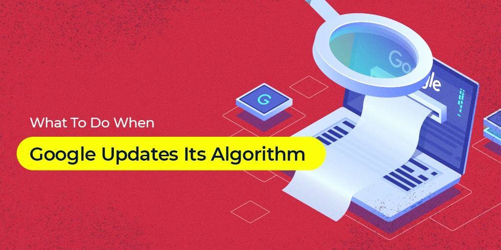 Google Update Survival Guide: What To Do When Google Updates Its Algorithm