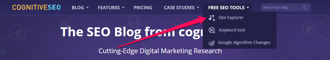 Best Internal Linking Structure & Strategy To Boost Your SEO